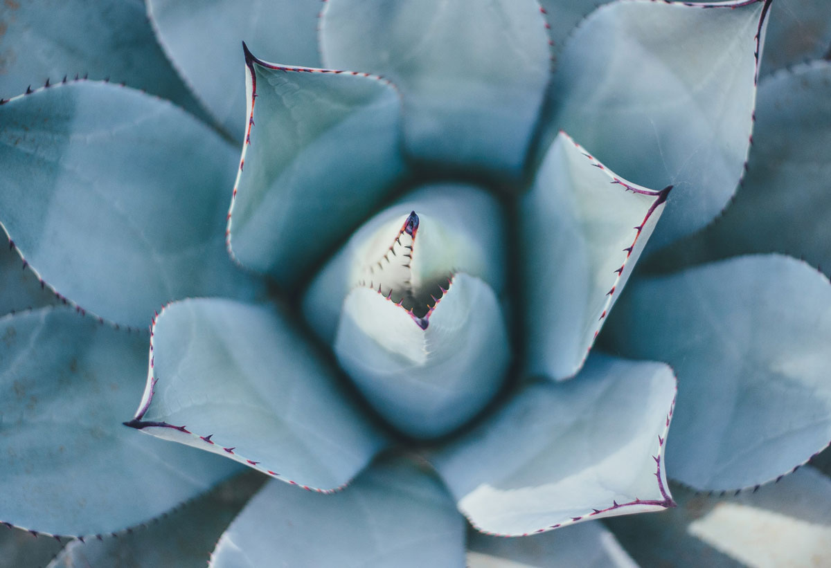 Session information and pricing | Blissful Being